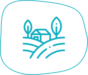 Fresh Mushrooms for Retail Stores | South Mill Champs